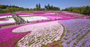 Japan’s Kanto Region: A Local’s Guide to Top Sights