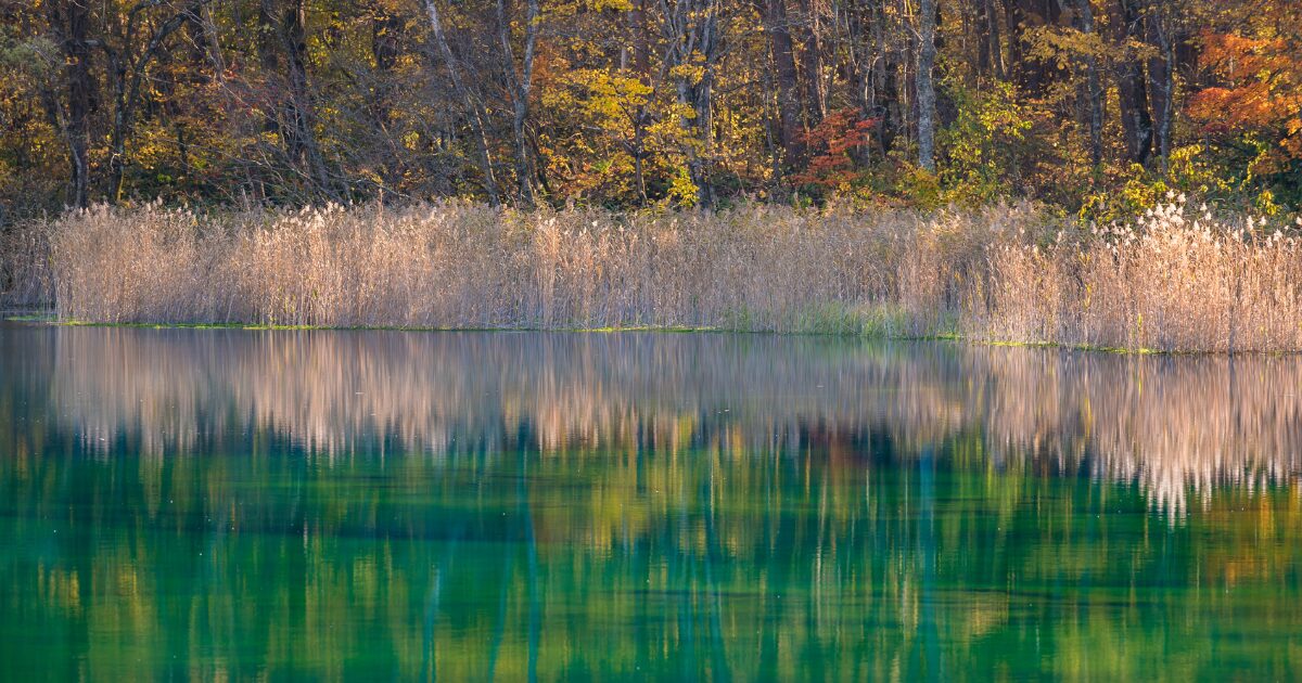 Explore Japan’s Tohoku Region: the Hidden Gems of North